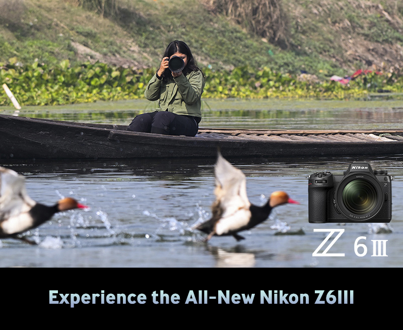 Cathay Photo | Nikon Z6III Touch & Try Session