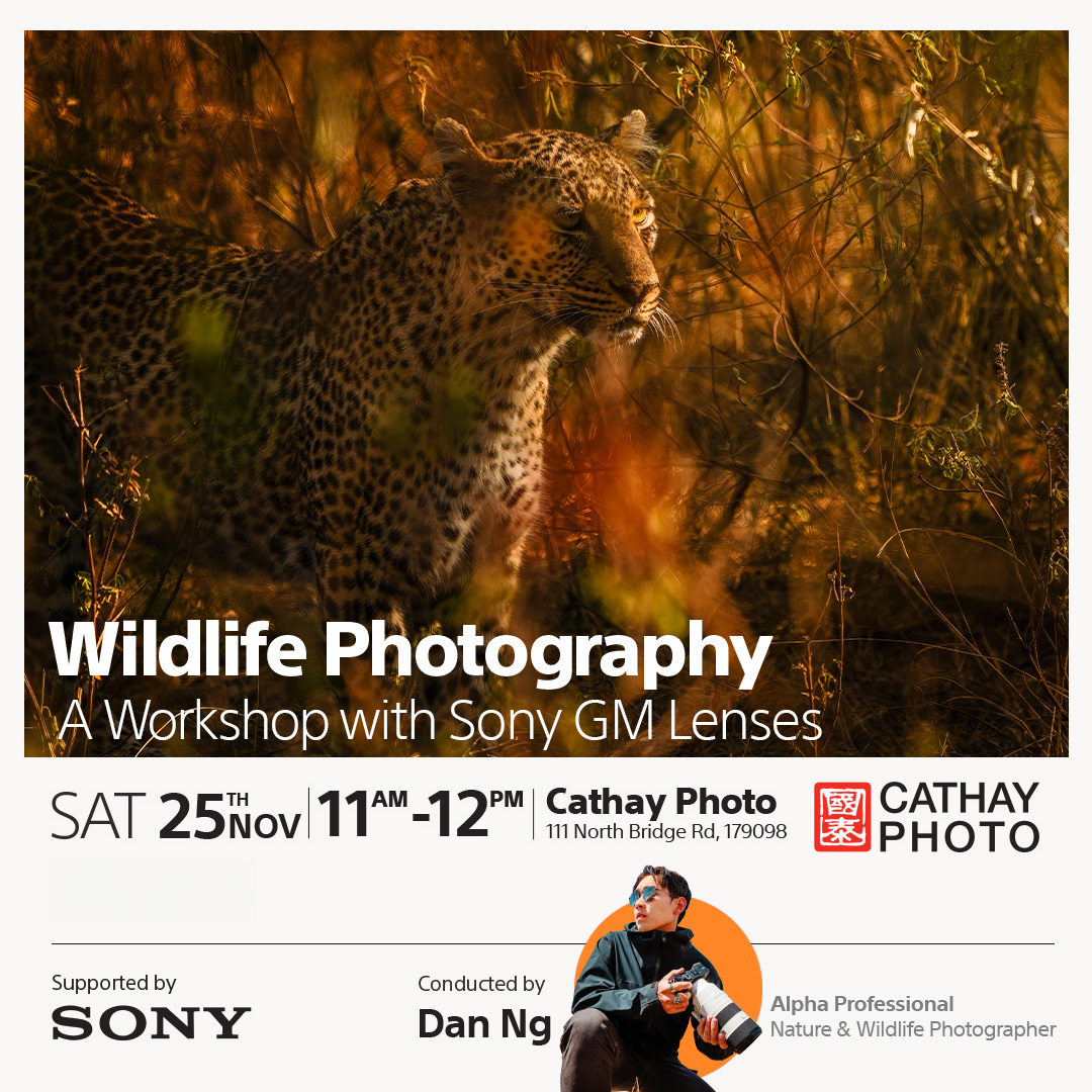 Cathay Photo | Wildlife Photography with Dan Ng