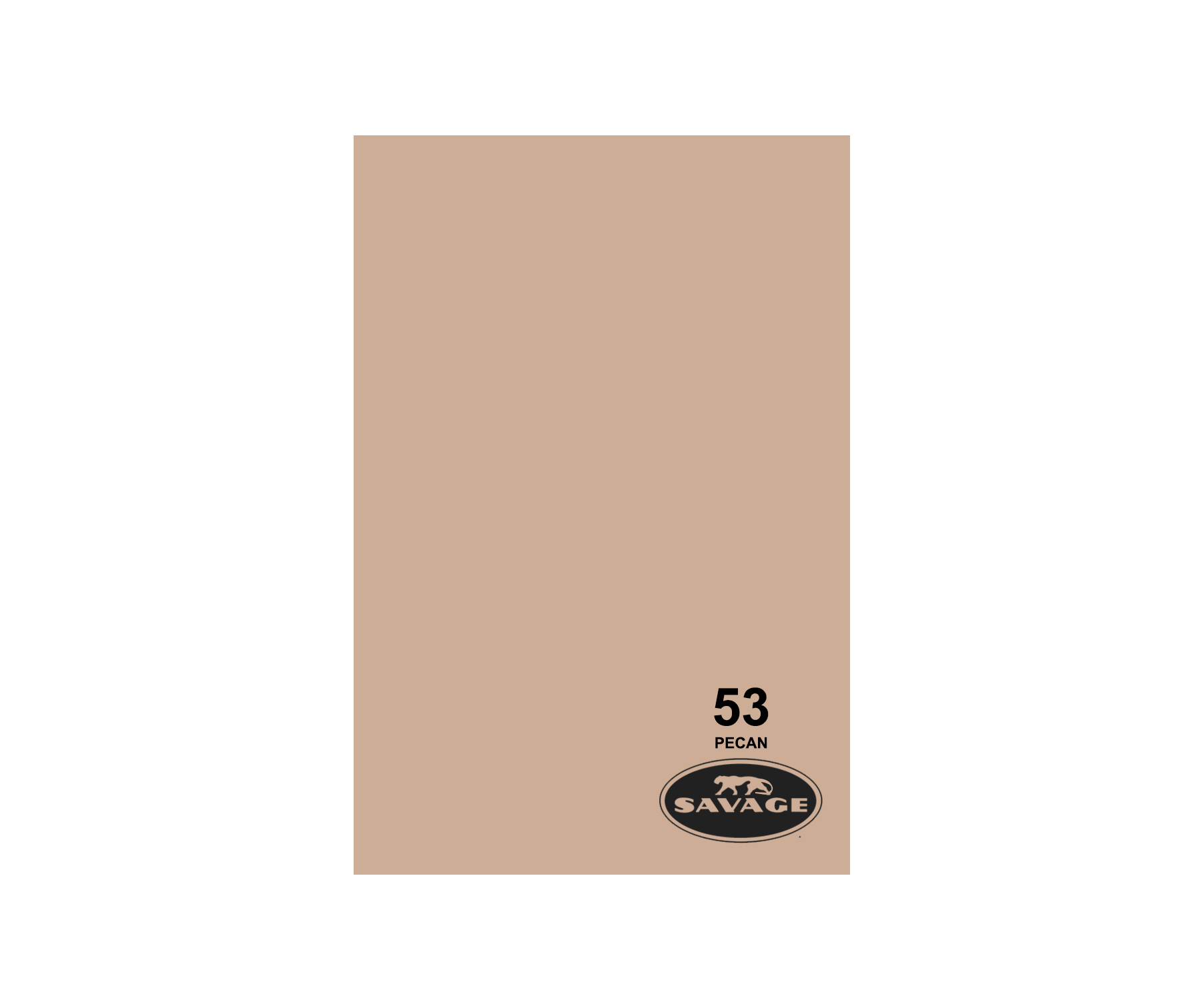 Cathay Photo | Savage Widetone Seamless Background Paper (#53 Pecan…